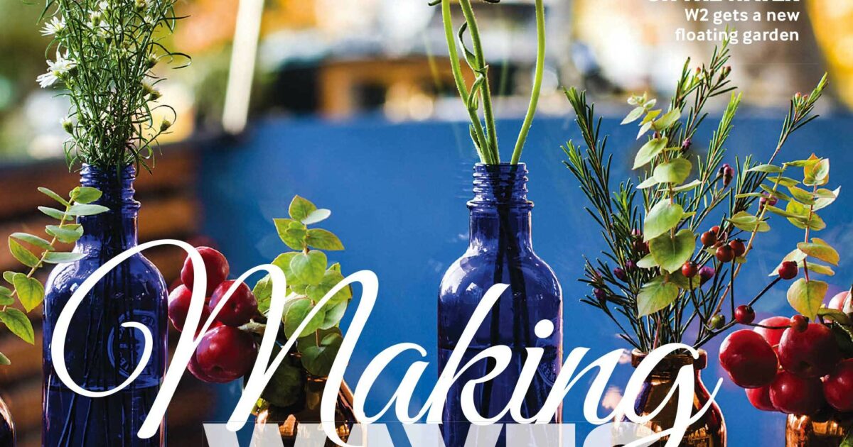 Explore Paddington, Spring/Summer 2017 | Paddington